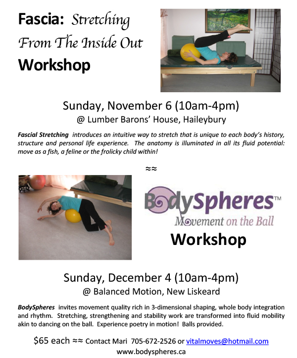 BodySpheres™ A division of VitalMove™